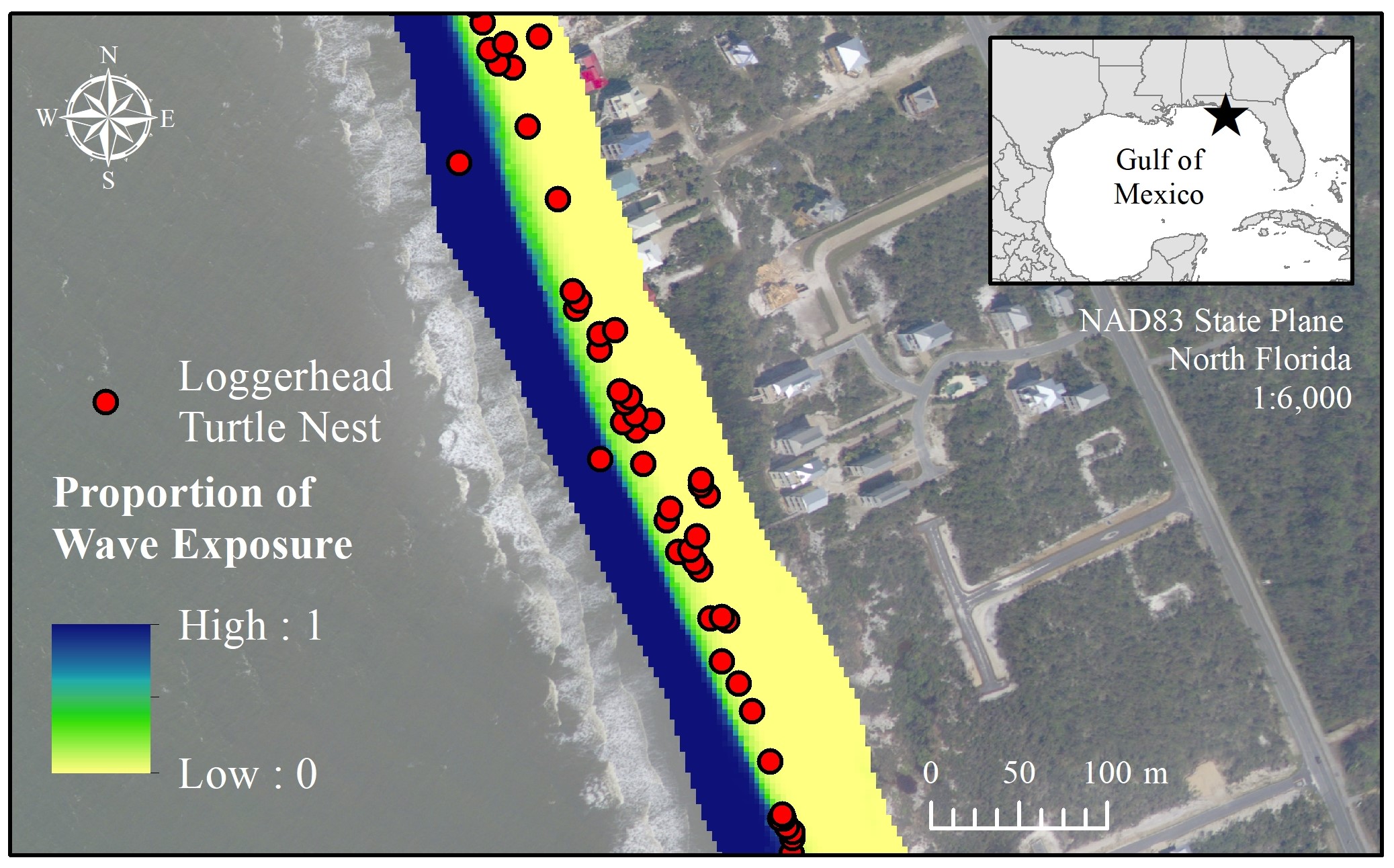 Project Update: Wave Exposure of Sea Turtle Nests – Ware Marine ...