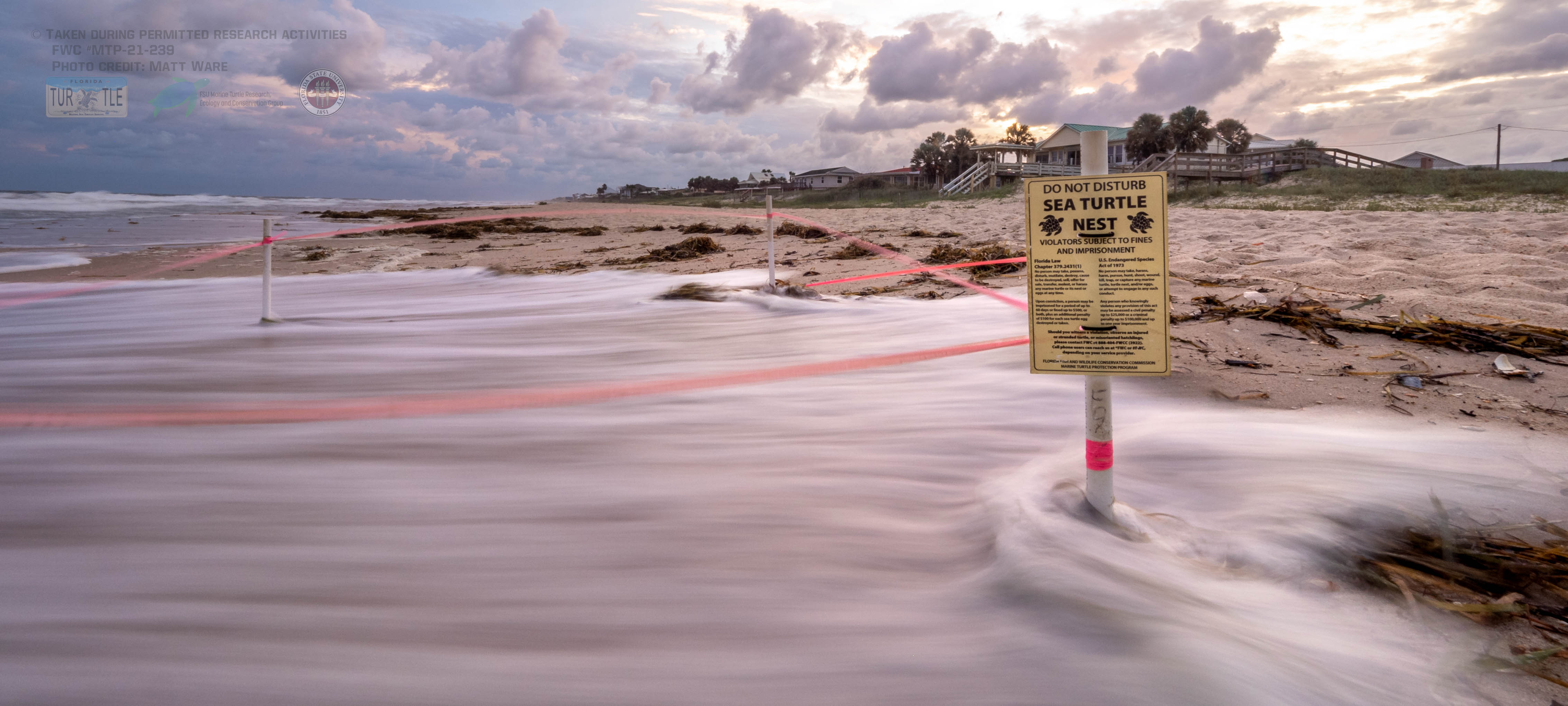 Active Projects and Collaborations – Ware Marine Research and Conservation